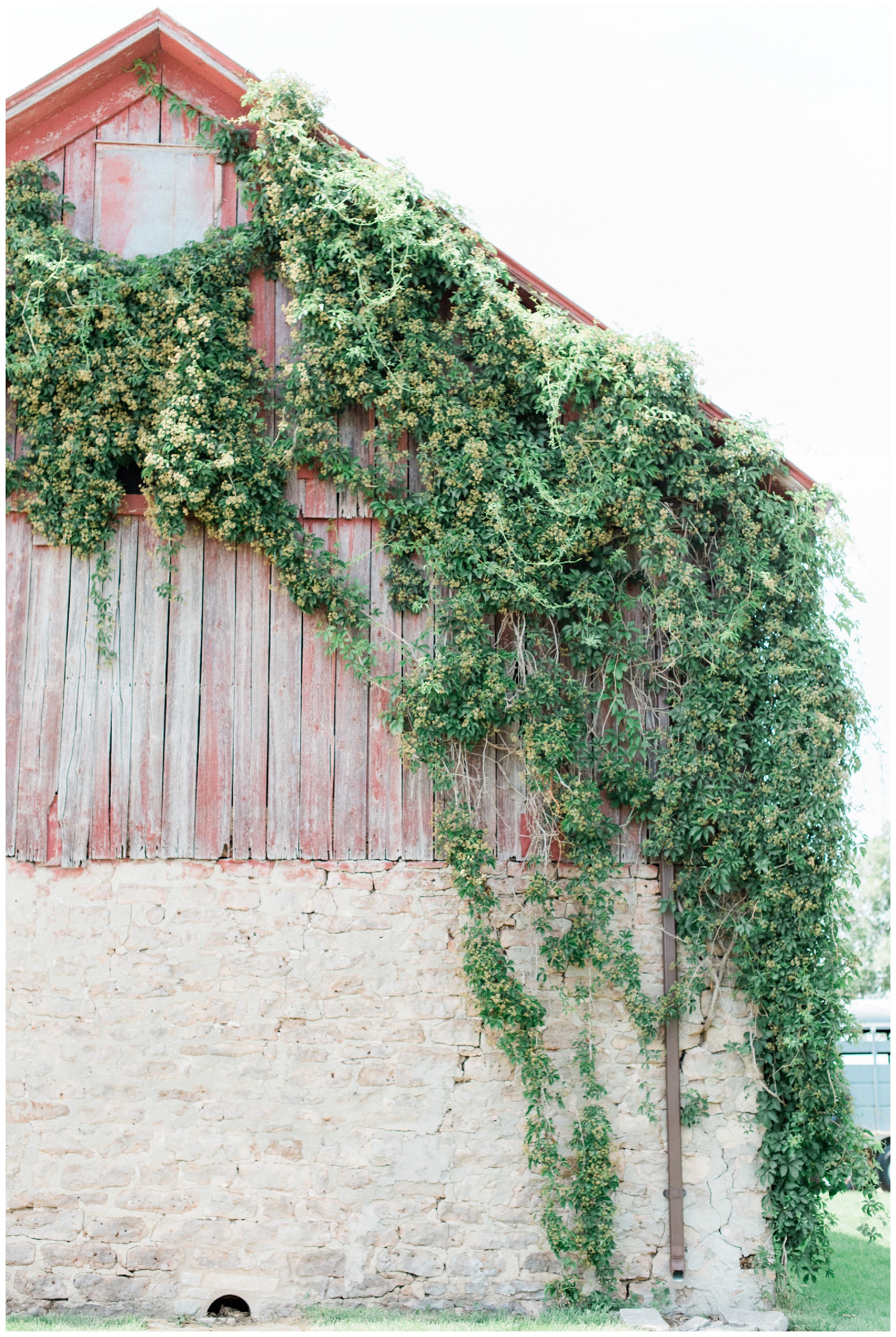 WHITNEY + BRANDON - MULBERRY LANE FARM WEDDING - HILBERT, WI | Meghan ...